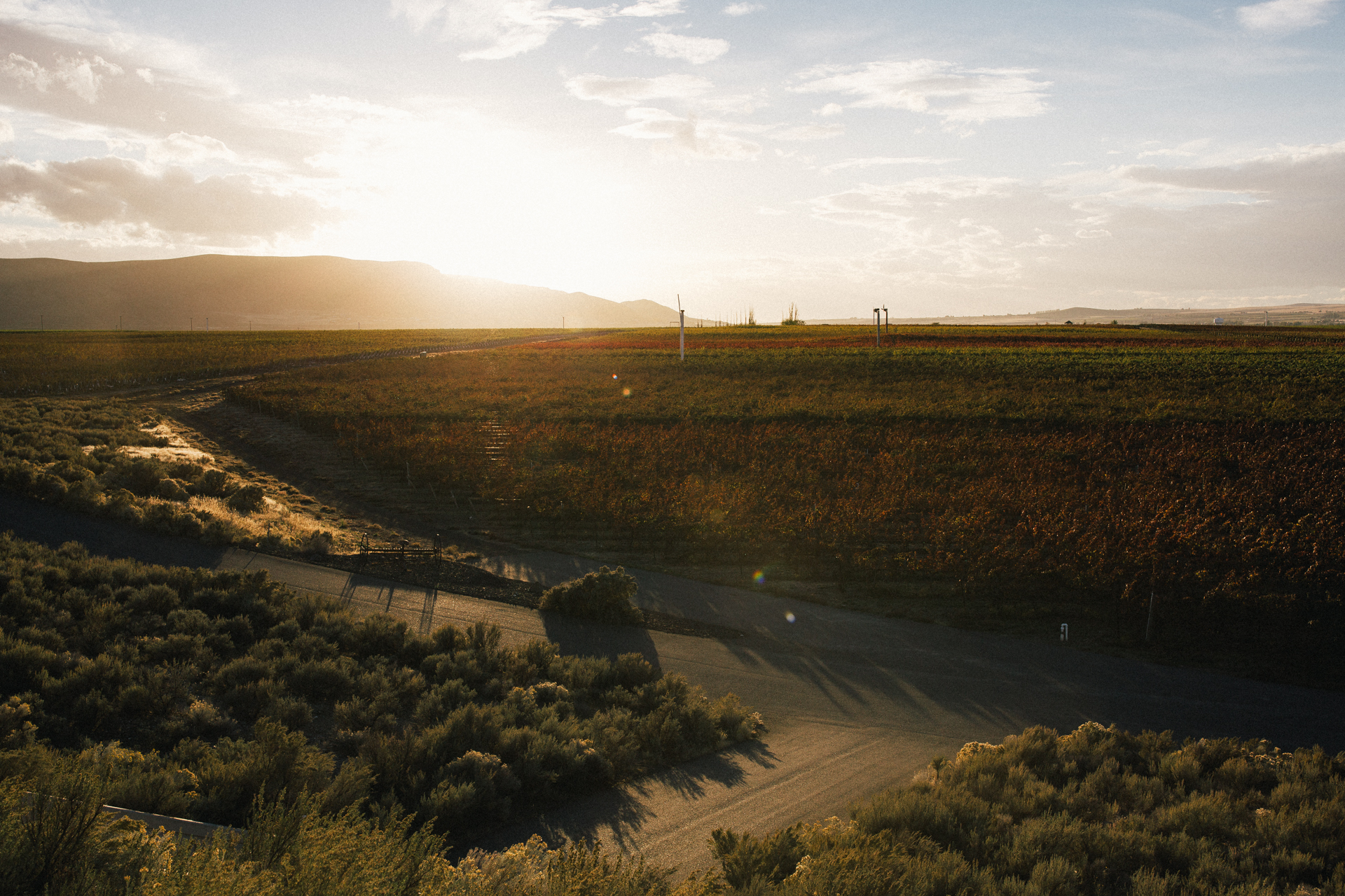 Industry - Kiona Vineyards and Winery